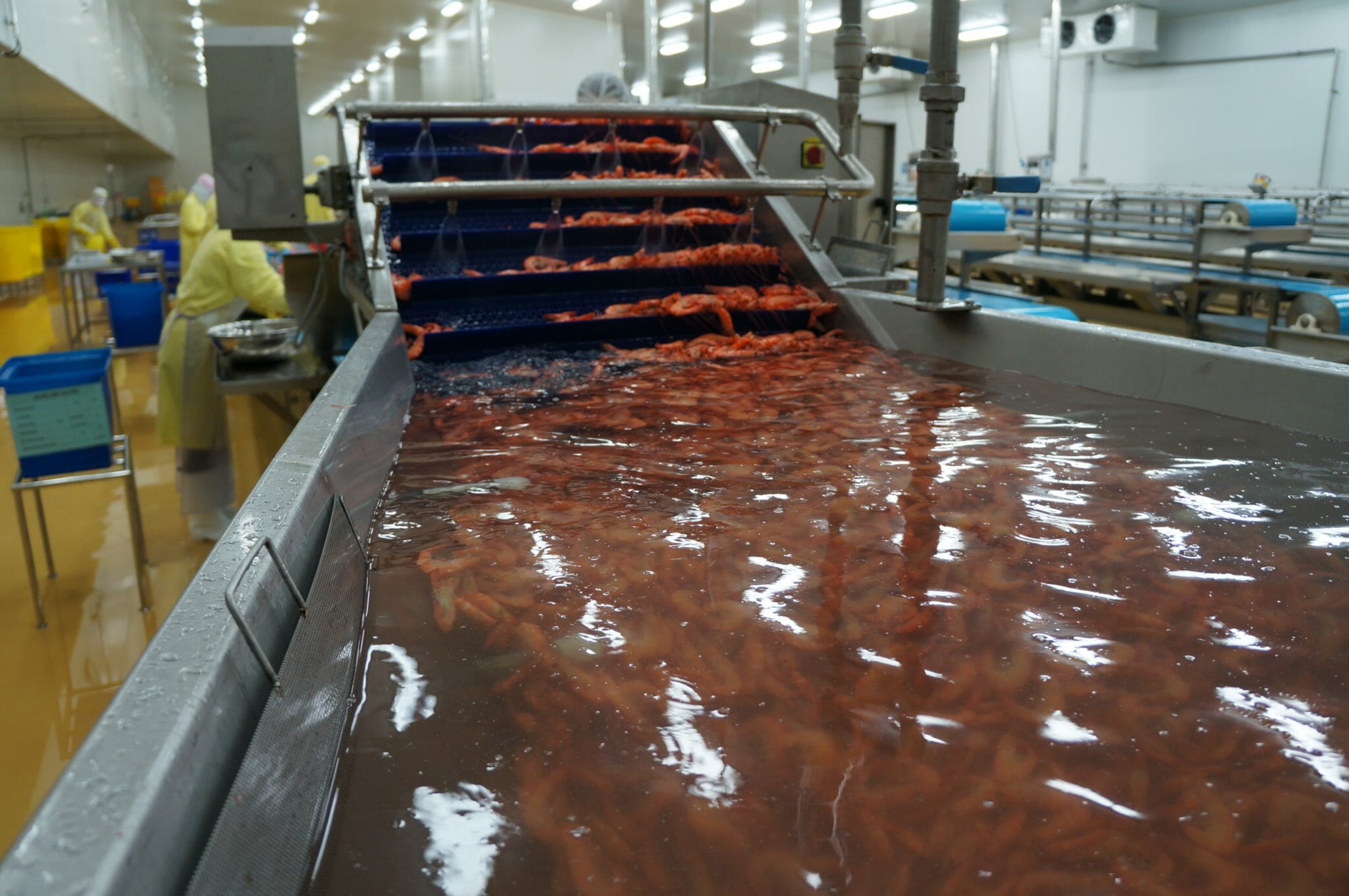 Shrimp Processing plant - ประเทศเวียดนาม - บริษัท เกษตรภัณฑ์อุตสาหกรรม ...