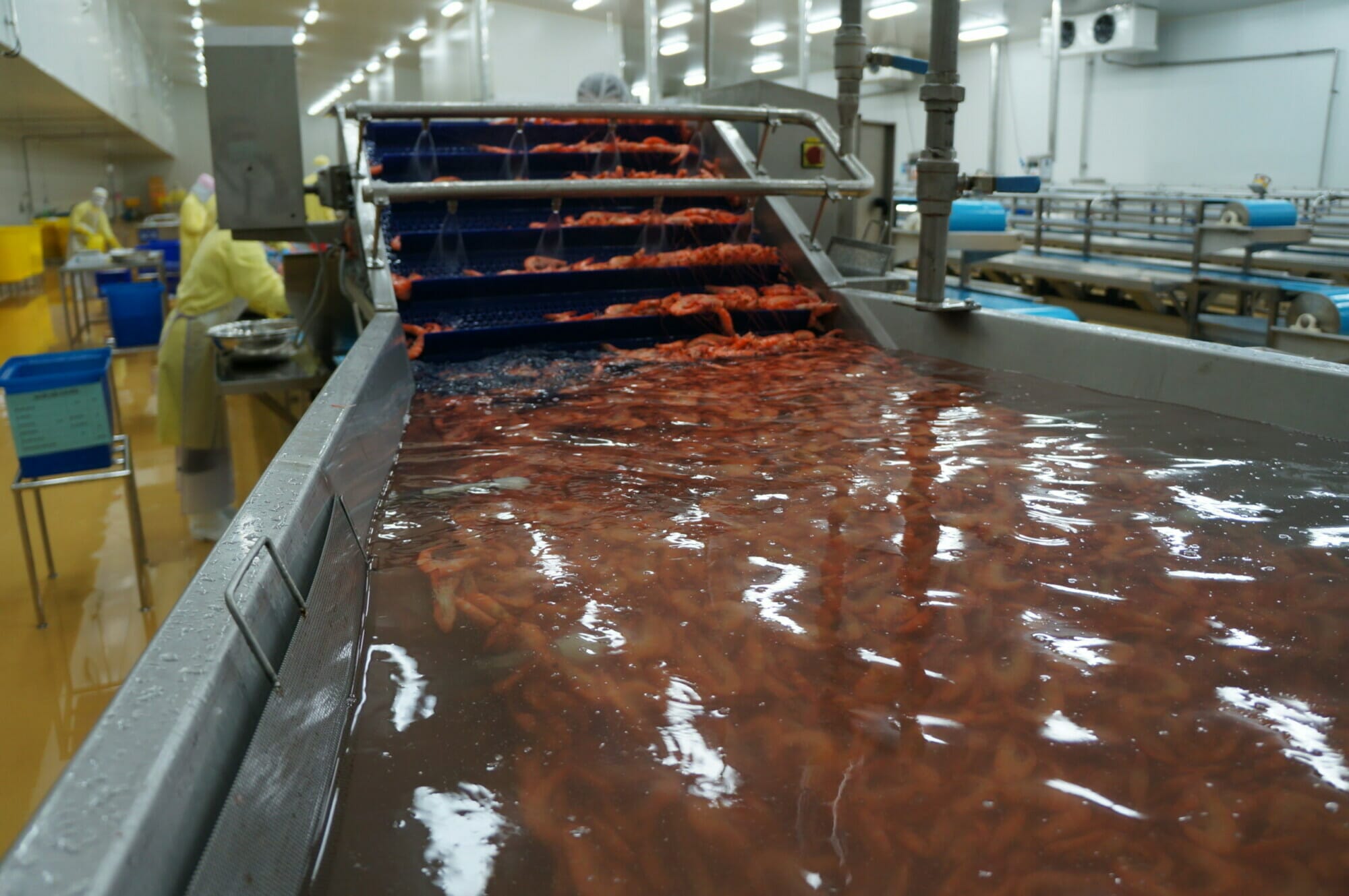 Shrimp Processing plant - ประเทศเวียดนาม - บริษัท เกษตรภัณฑ์อุตสาหกรรม ...
